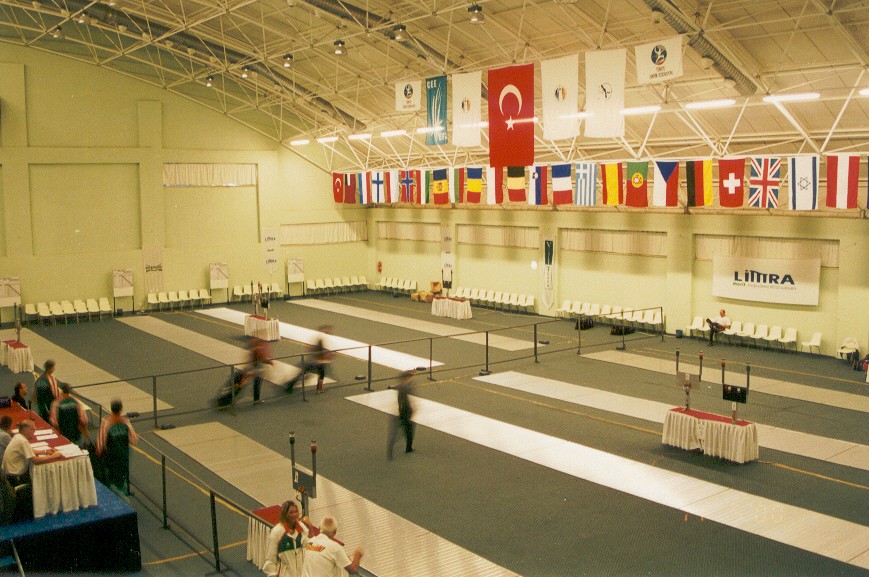 Greenapple Fencing Pistes - Aluminum Fencing Piste in FIE Standards